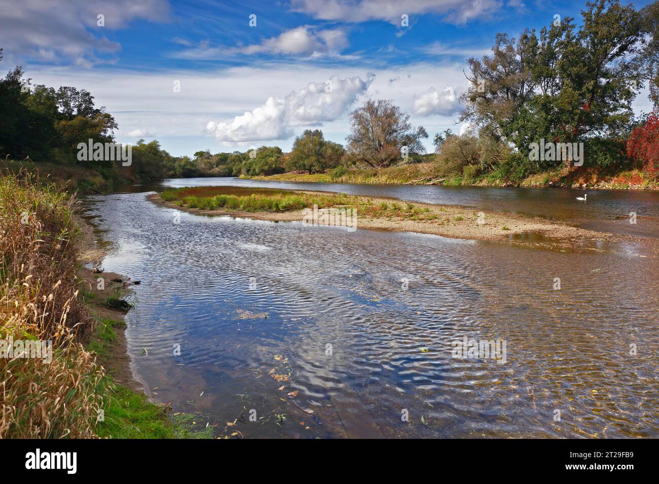 Gravel bank in the Mulde River, natural river, habitat for rare birds ...