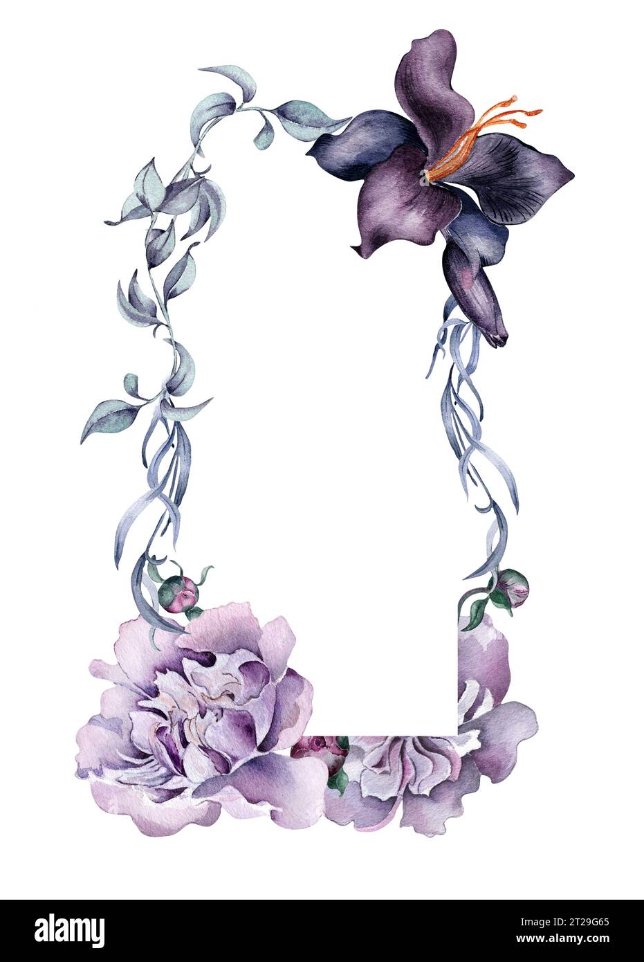 Watercolor frame of purple pink lily flowers isolated on white. Gothic ...