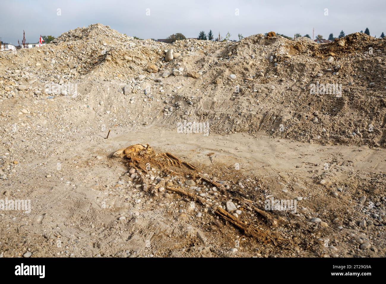 Munich, Germany. 18th Oct, 2023. The skeleton of a child lies in a pit ...