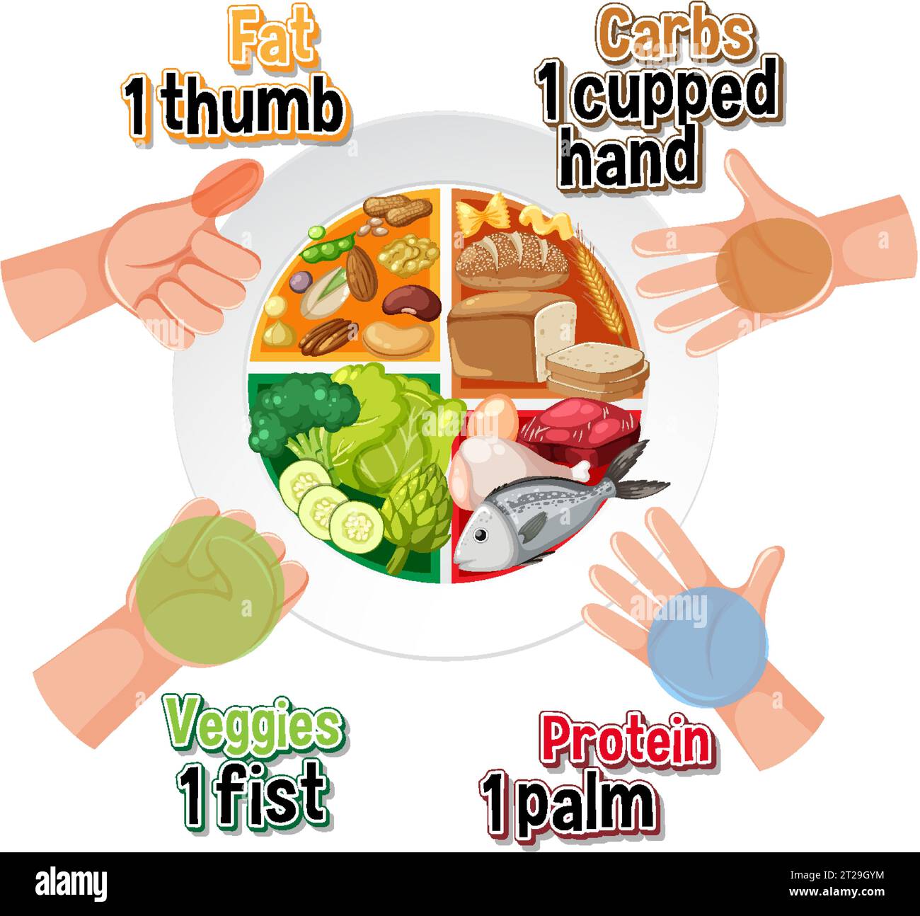 Comparing food amounts using hand portion sizes Stock Vector Image ... Comparing food amounts using hand portion sizes Stock Vector Image ...