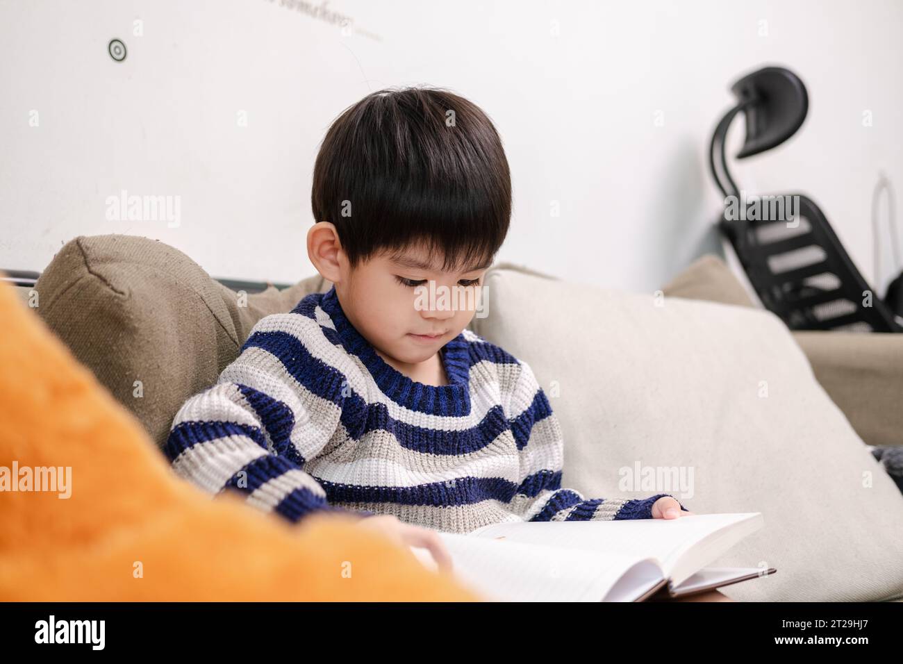 Asian boy reading a book on the sofa Learning outside the classroom ...