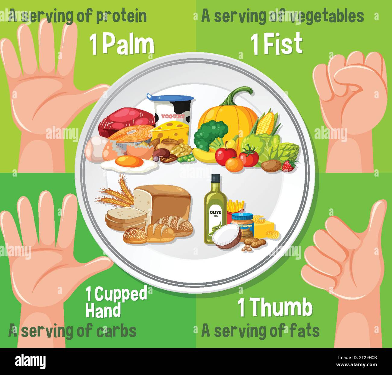 Set of Food Macronutrients: A Visual Guide illustration Stock Vector ...