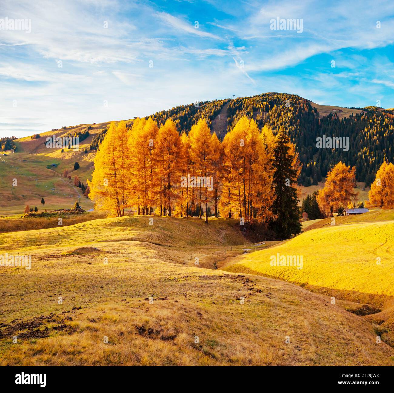 Unusual magic autumn landscape hi-res stock photography and images - Alamy