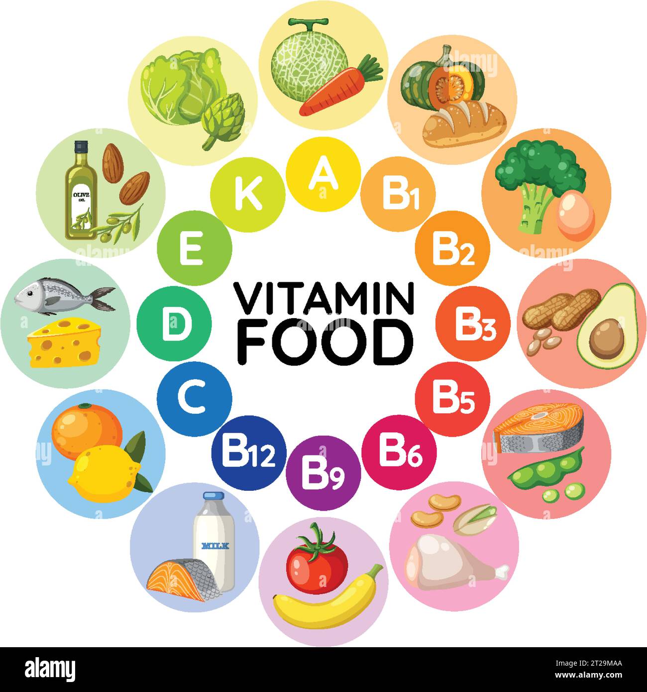 Illustration of different food groups categorized by vitamin content ...