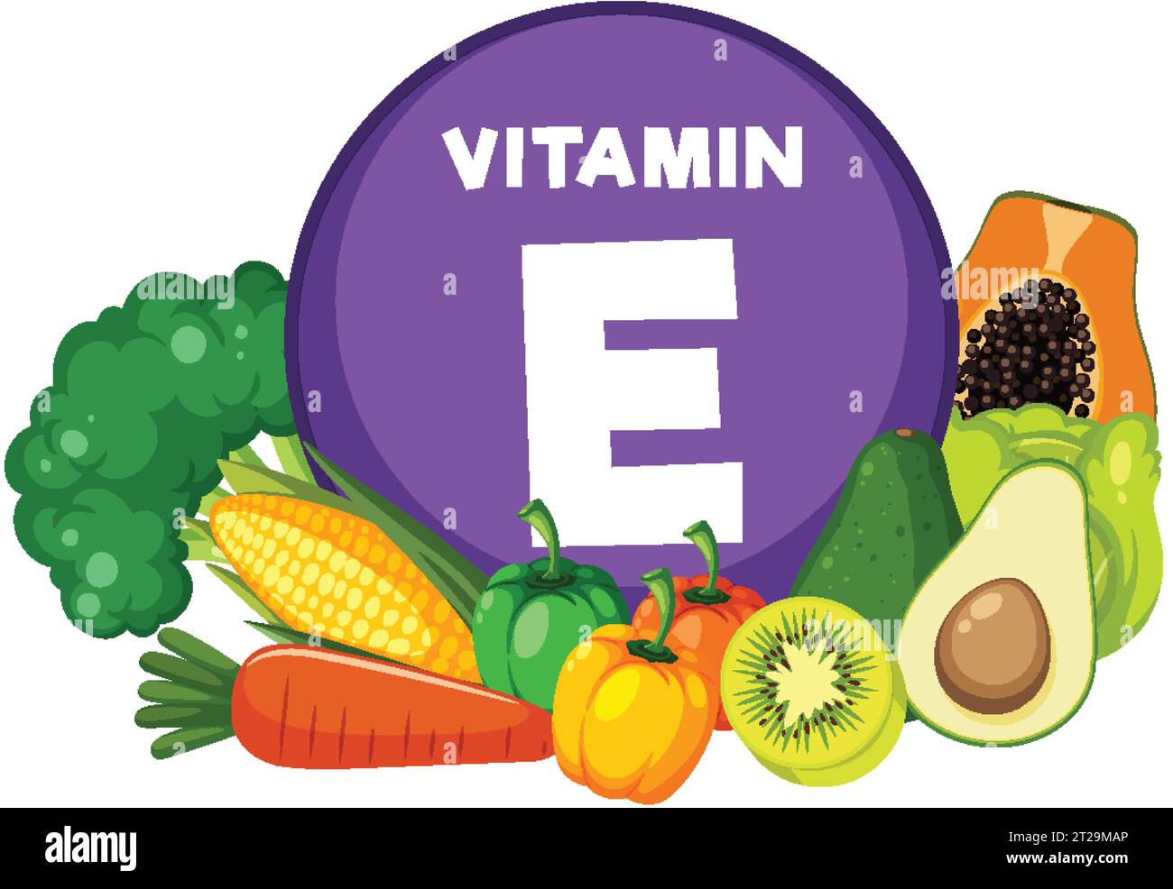 Illustration of a variety of vitamin E-rich fruits and vegetables Stock ...