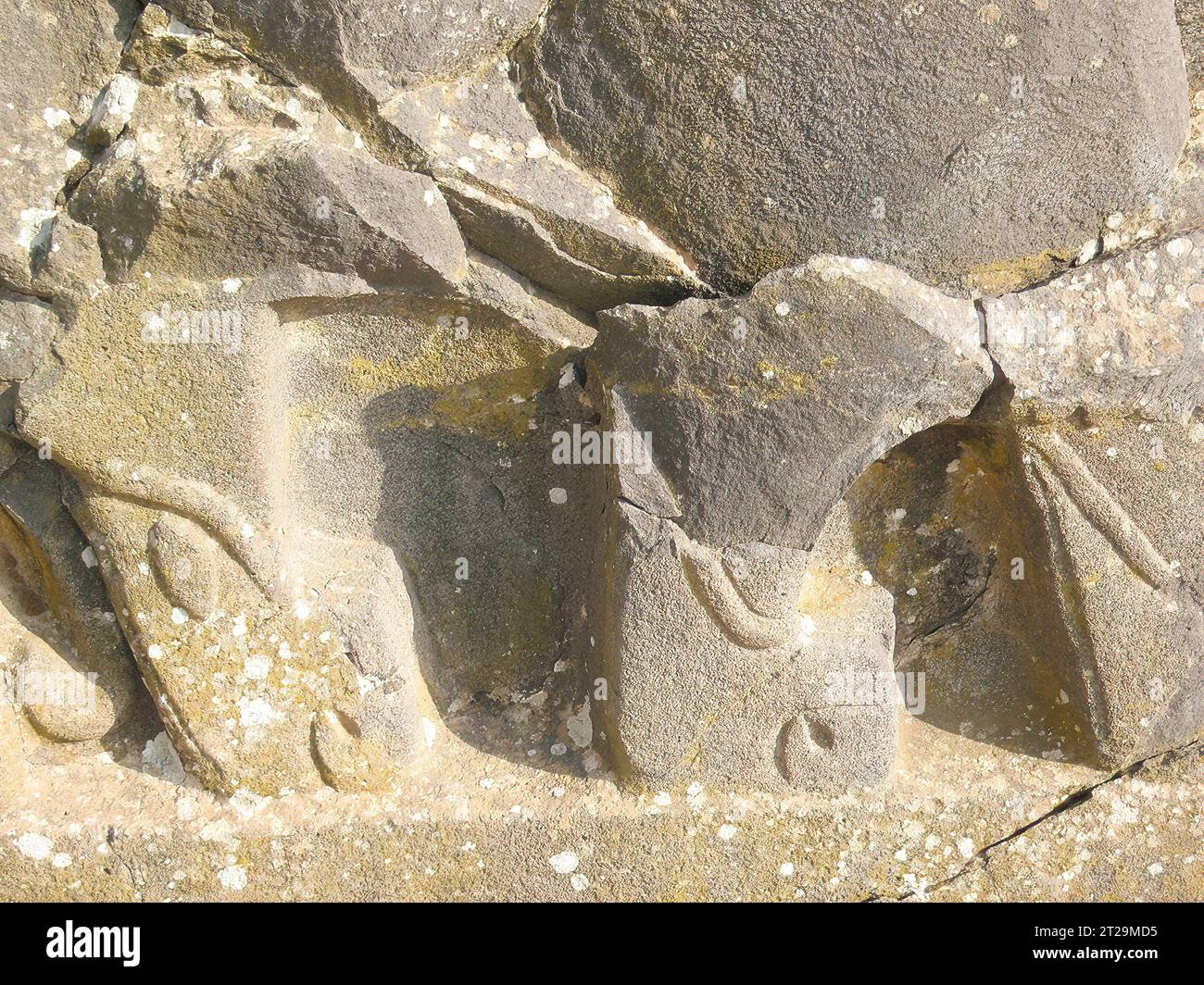 Ain dara hi-res stock photography and images - Alamy