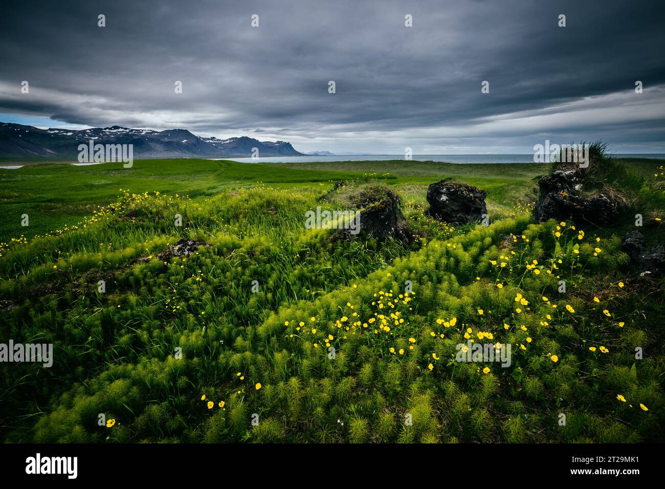 Scenic image of typical Icelandic idyllic landscape. Location hamlet of ...