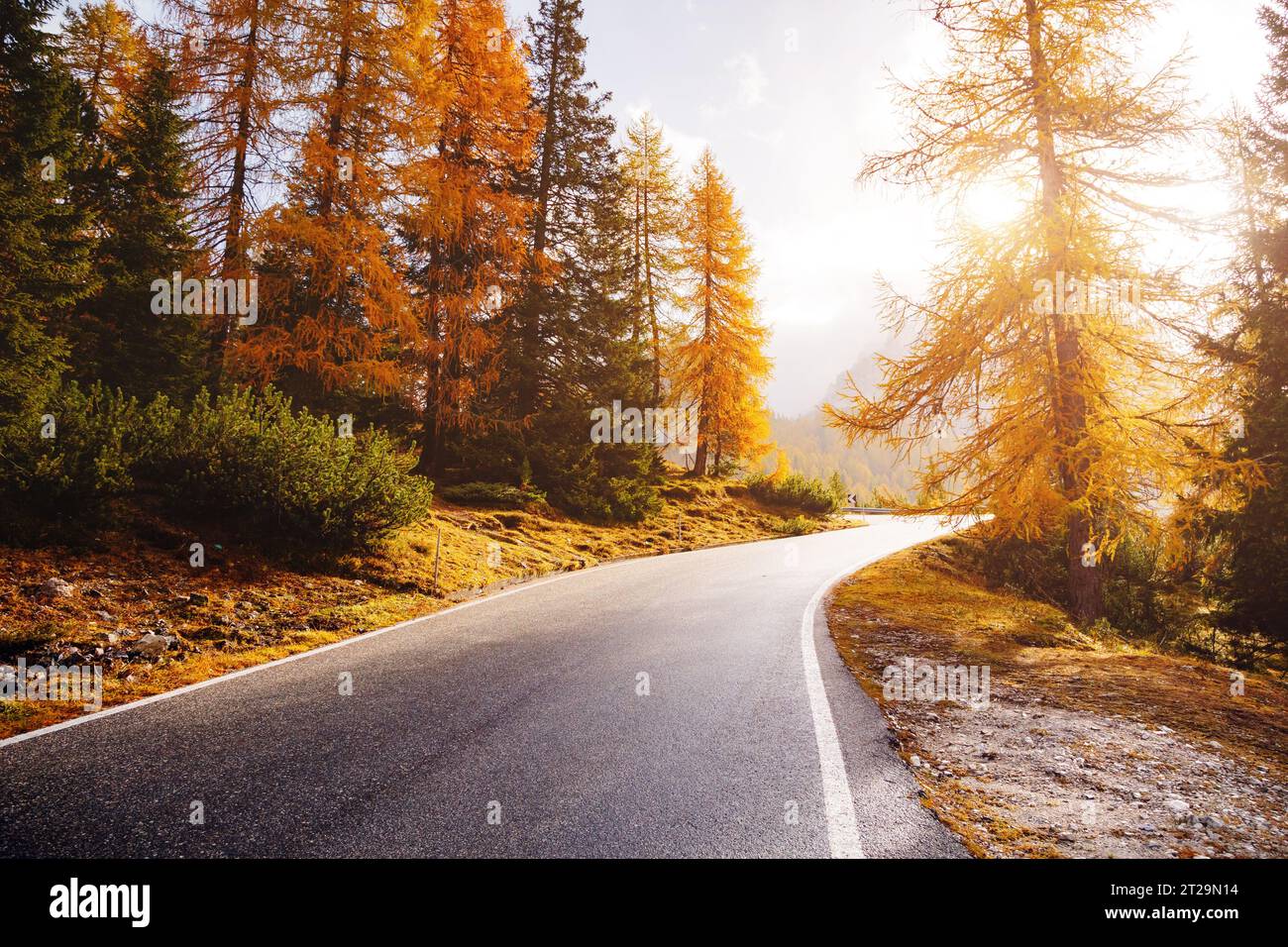Stunning image of the alpine road. Dramatic morning scene, gloomy ...
