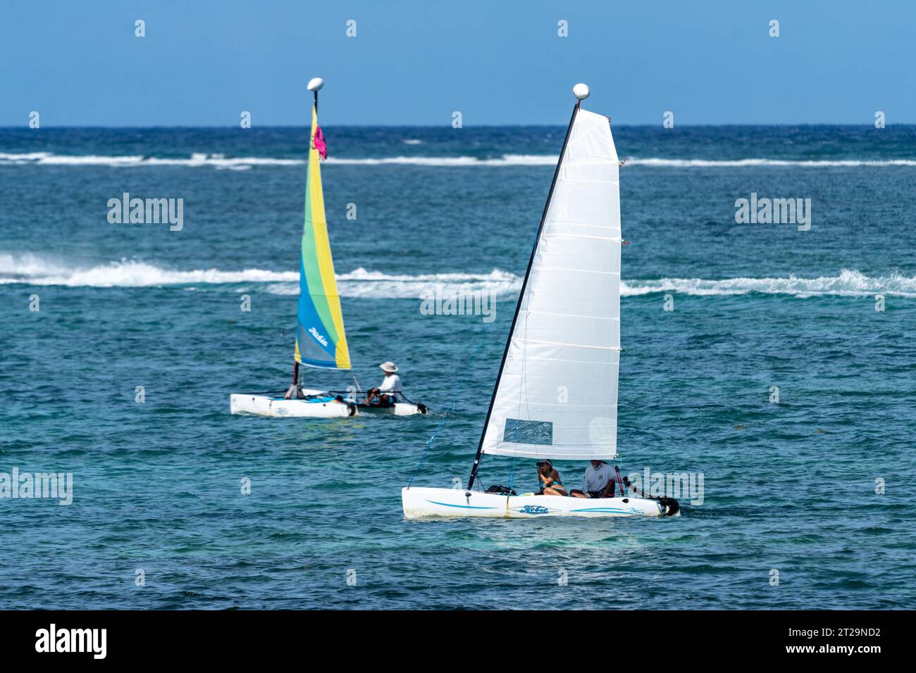 Hobie Cat catamaran sailboats sailing in the Caribbean Sea at San Pedro ...