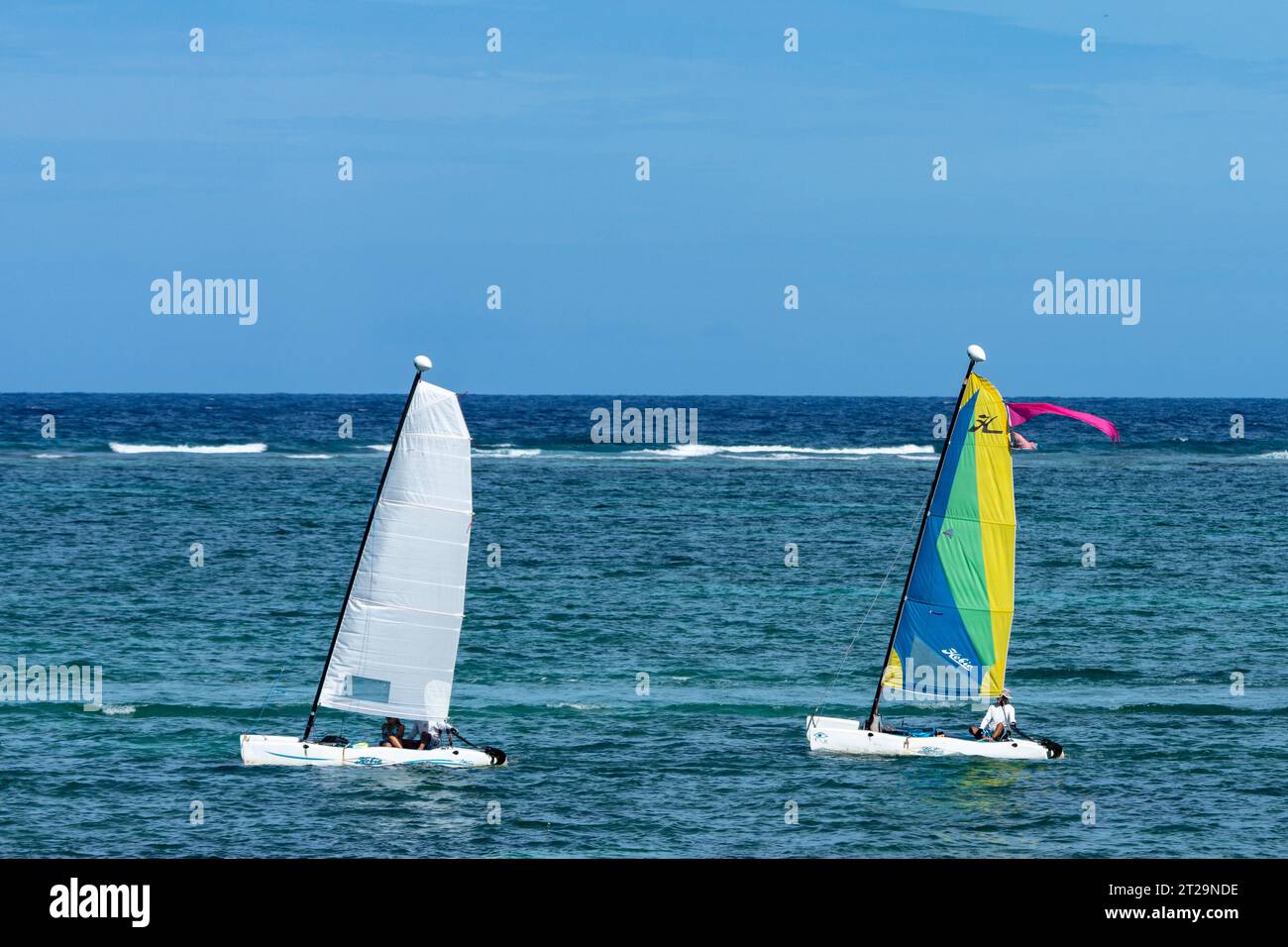 Hobie Cat catamaran sailboats sailing in the Caribbean Sea at San Pedro ...