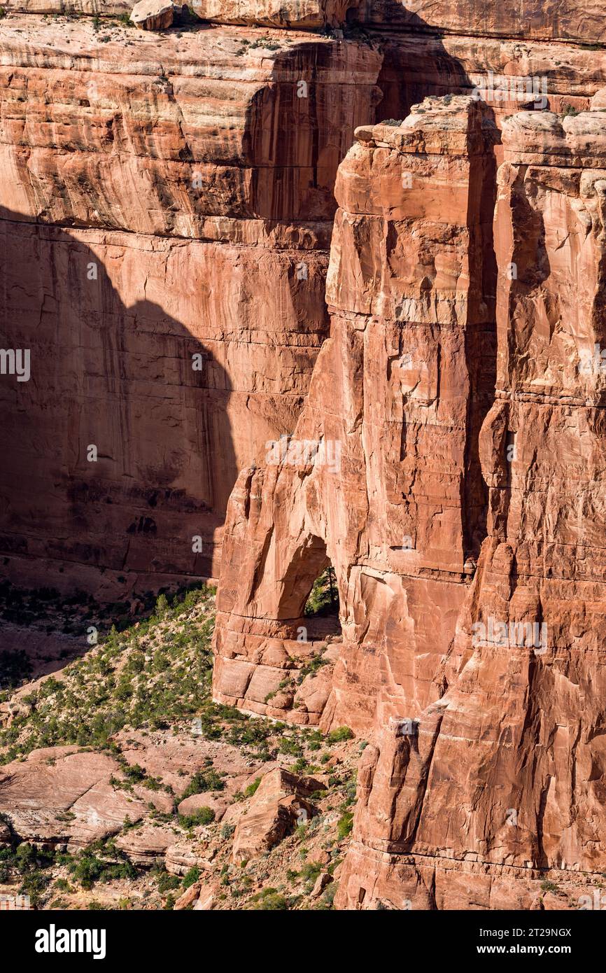 Cathedral Arch in Arch Canyon from the Arch Canyon Overlook. Shash Jaa ...
