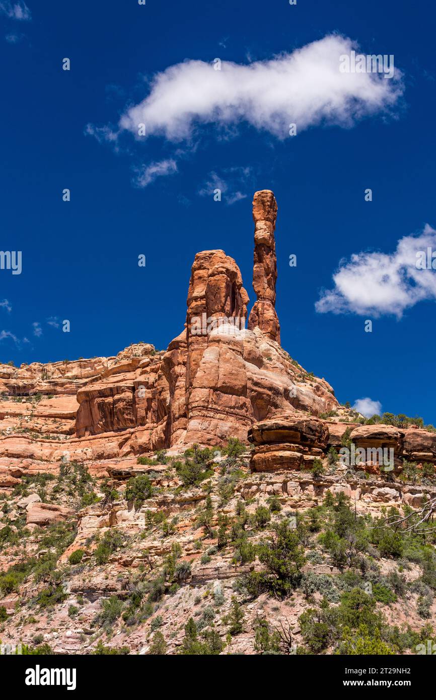 A free-standing sandstone tower in Arch Canyon. Shash Jaa unit, Bears ...