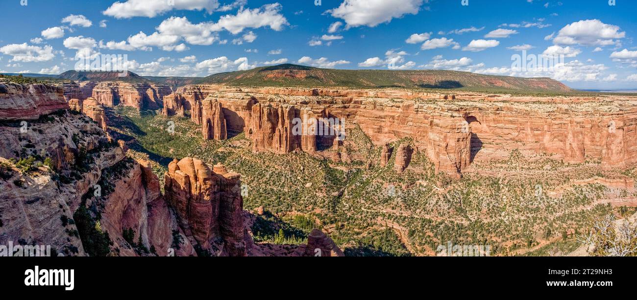Arch Canyon with Cathedral Arch in the center. Shash Jaa Unit of the ...