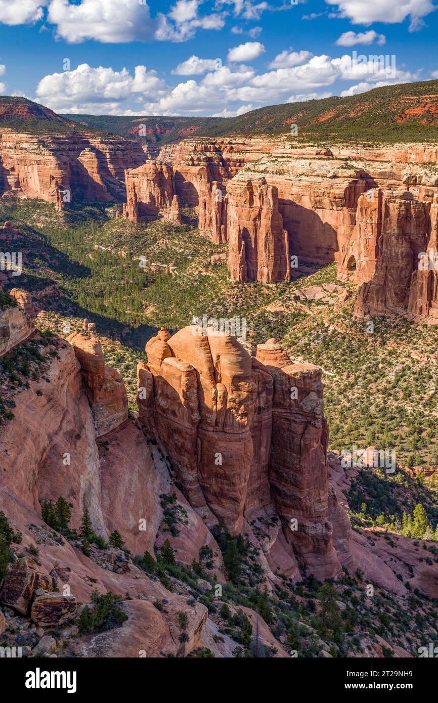 Arch Canyon with Cathedral Arch at right. Shash Jaa Unit of the Bears ...