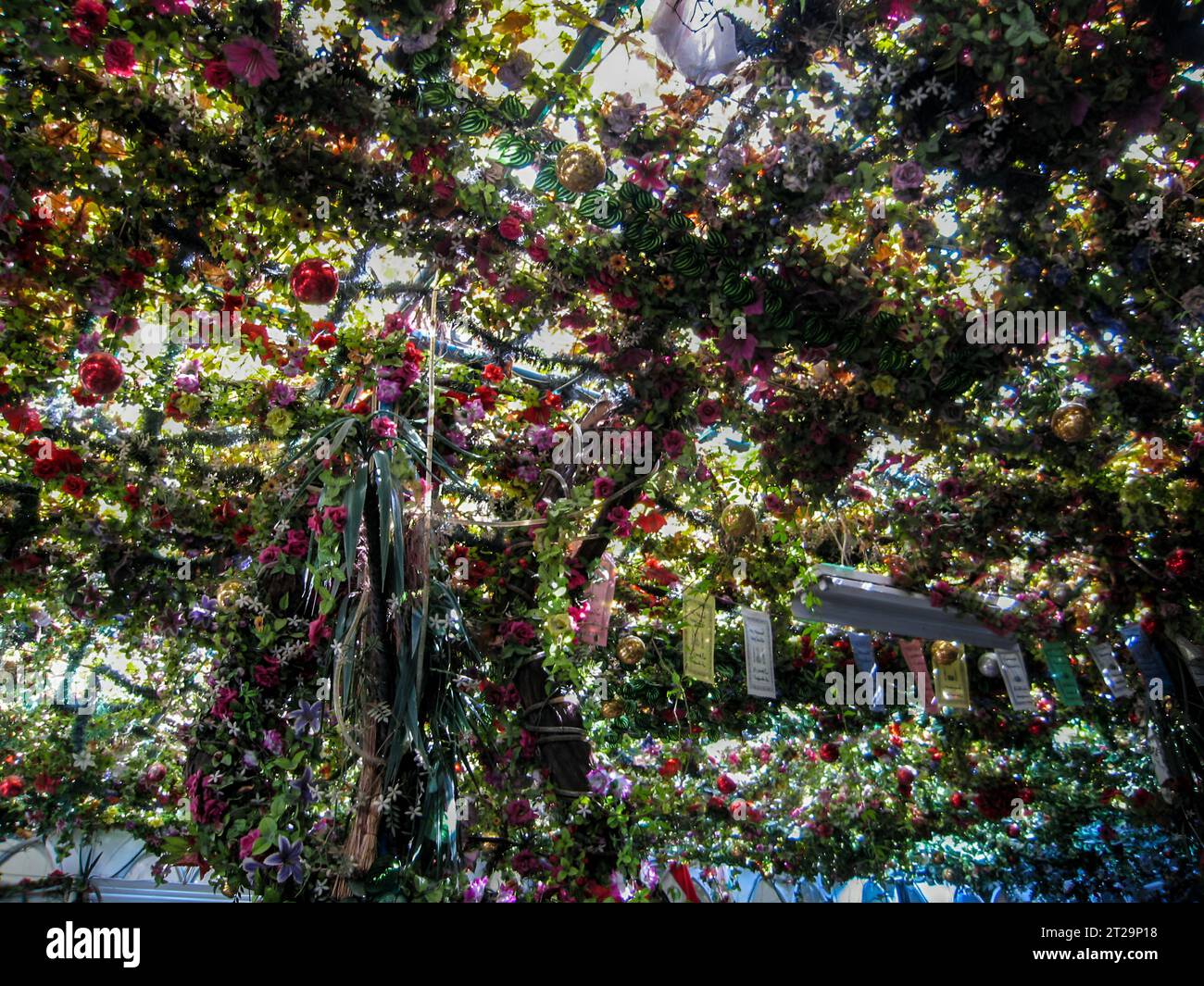 Bakdash damascus hi-res stock photography and images - Alamy