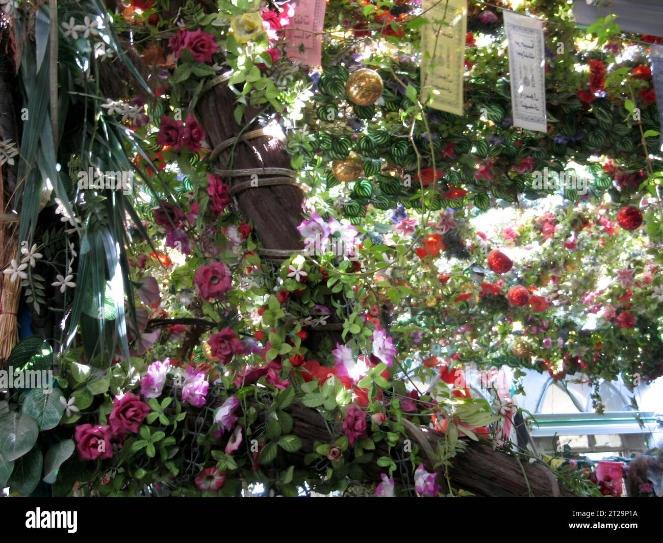 Bakdash damascus hi-res stock photography and images - Alamy