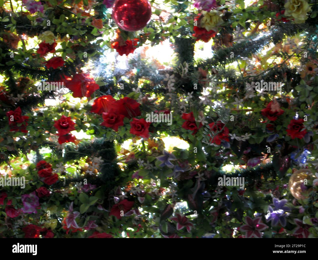 Bakdash damascus hi-res stock photography and images - Alamy