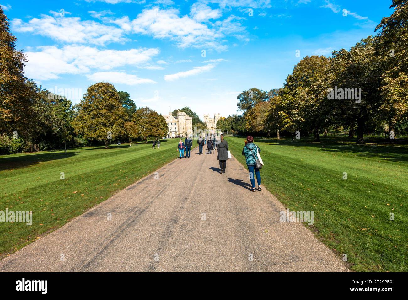A view down The Windsor Long Walk towards Windsor Castle, a tree lined ...