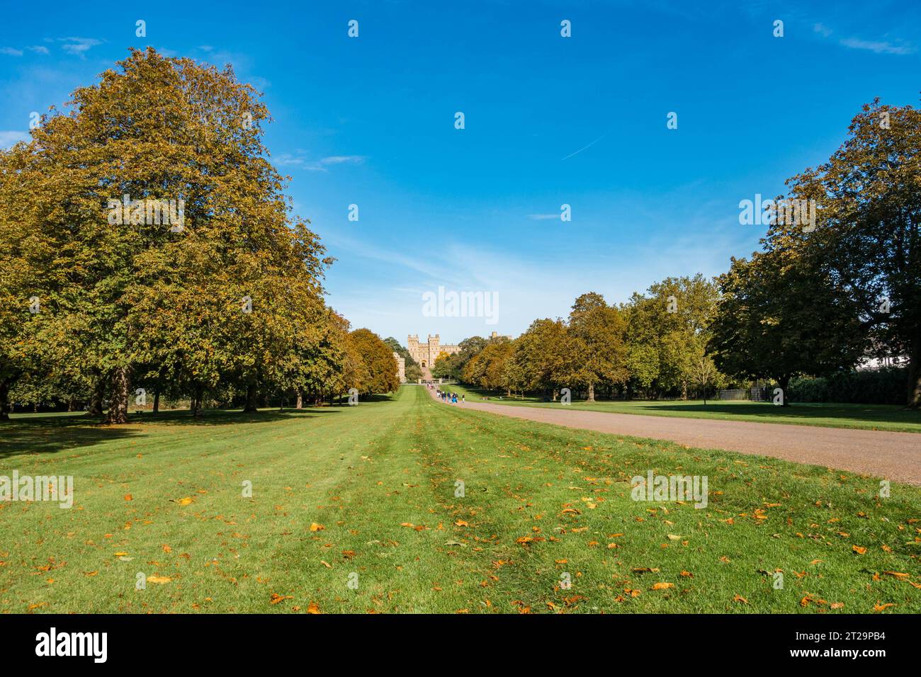 A view down The Windsor Long Walk towards Windsor Castle, a tree lined ...