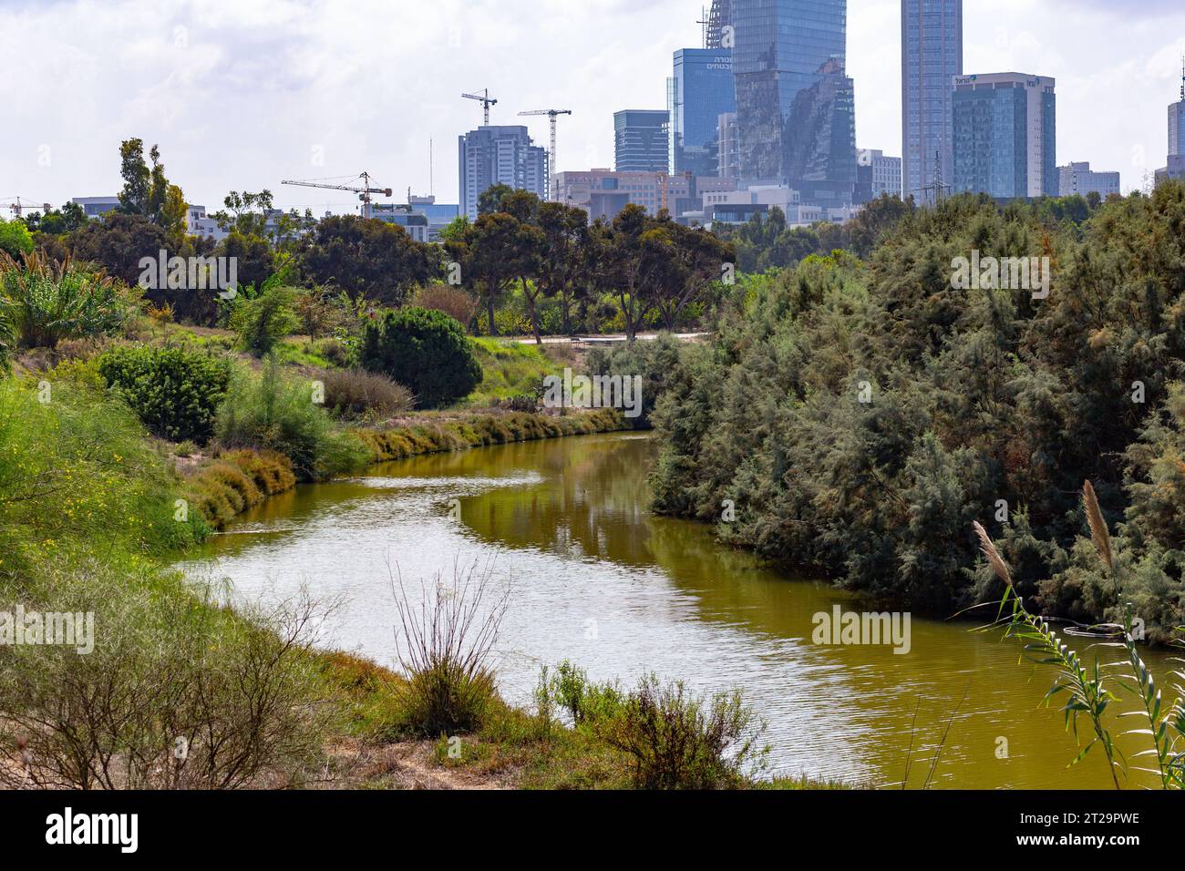 Yarkon park hi-res stock photography and images - Alamy