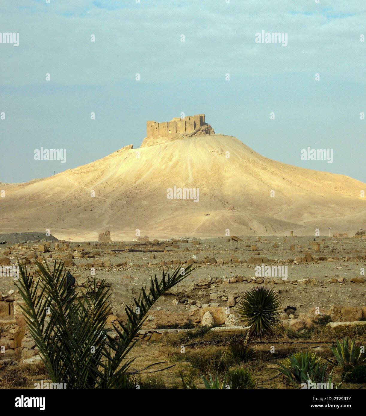 An Arab castle Stock Photo - Alamy