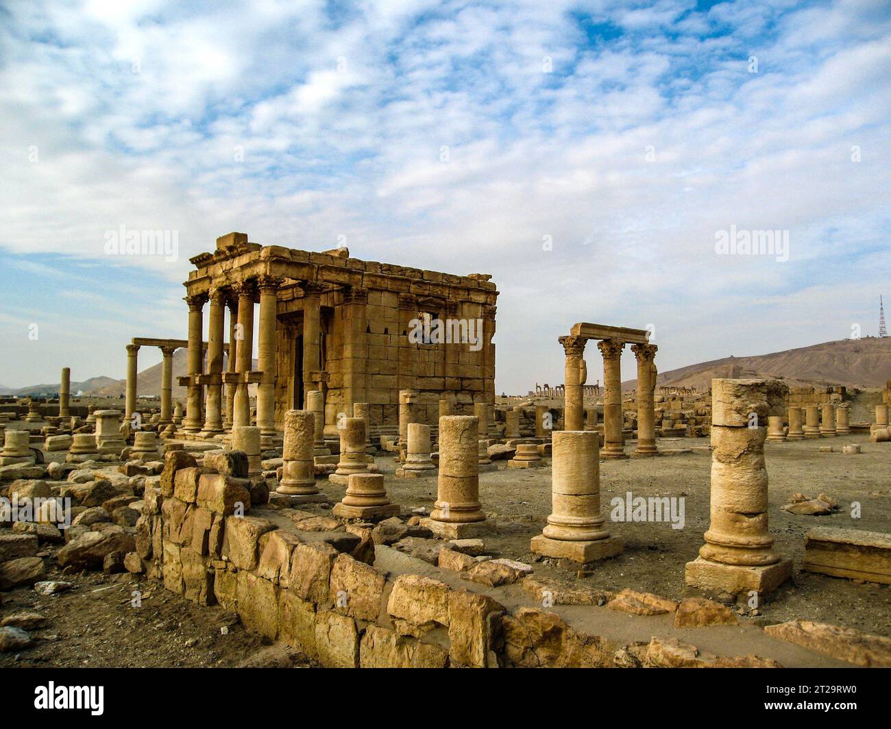 Queen zenobia hi-res stock photography and images - Alamy