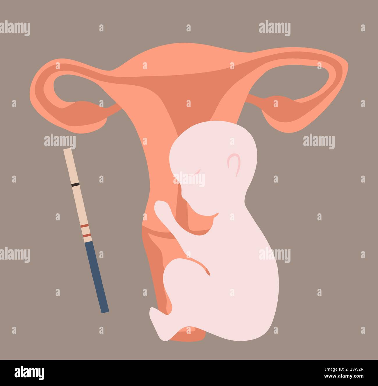 Vector isolated illustration of pregnancy. Trying to conceive. Health of a pregnant woman ...