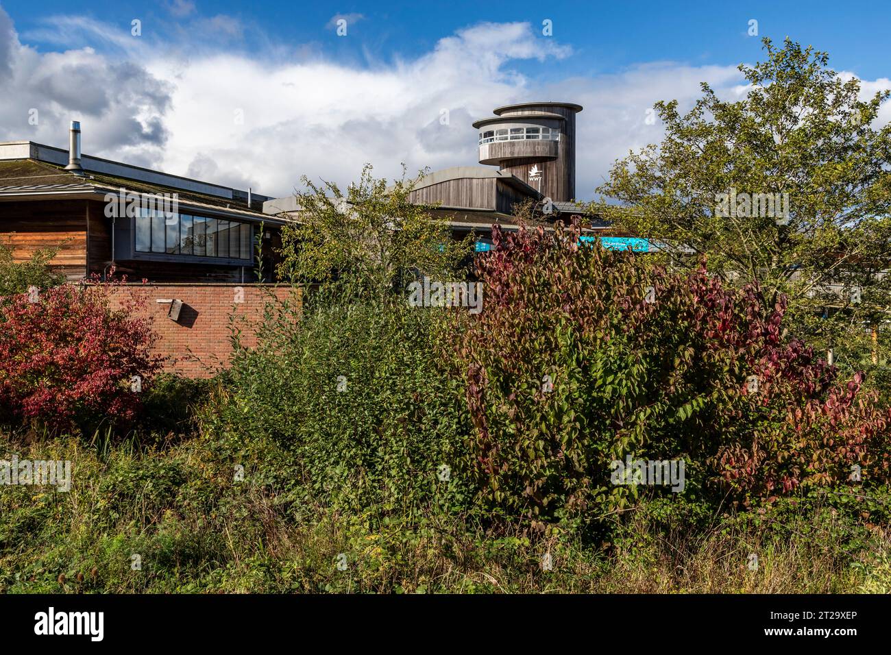 WWT Slimbridge centre and landmark observation tower Stock Photo - Alamy