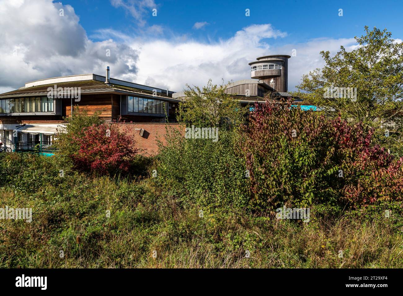 WWT Slimbridge centre and landmark observation tower Stock Photo - Alamy