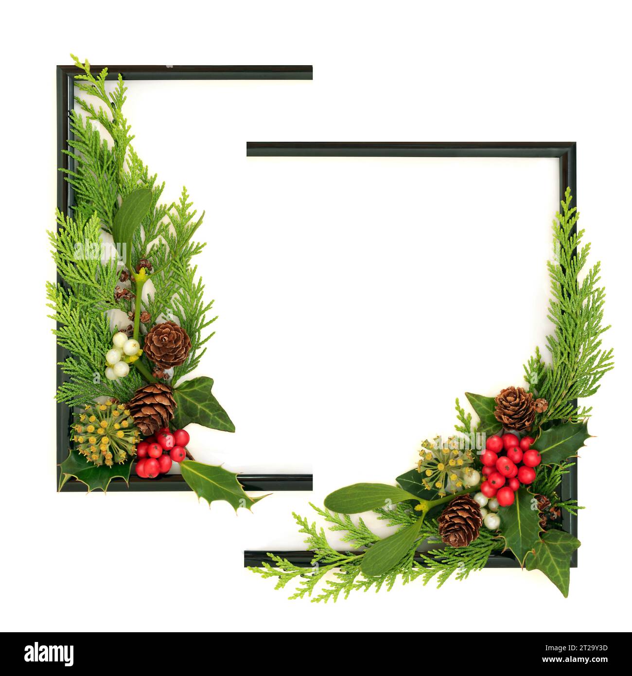 Abstract Christmas background frame traditional winter greenery, holly ...