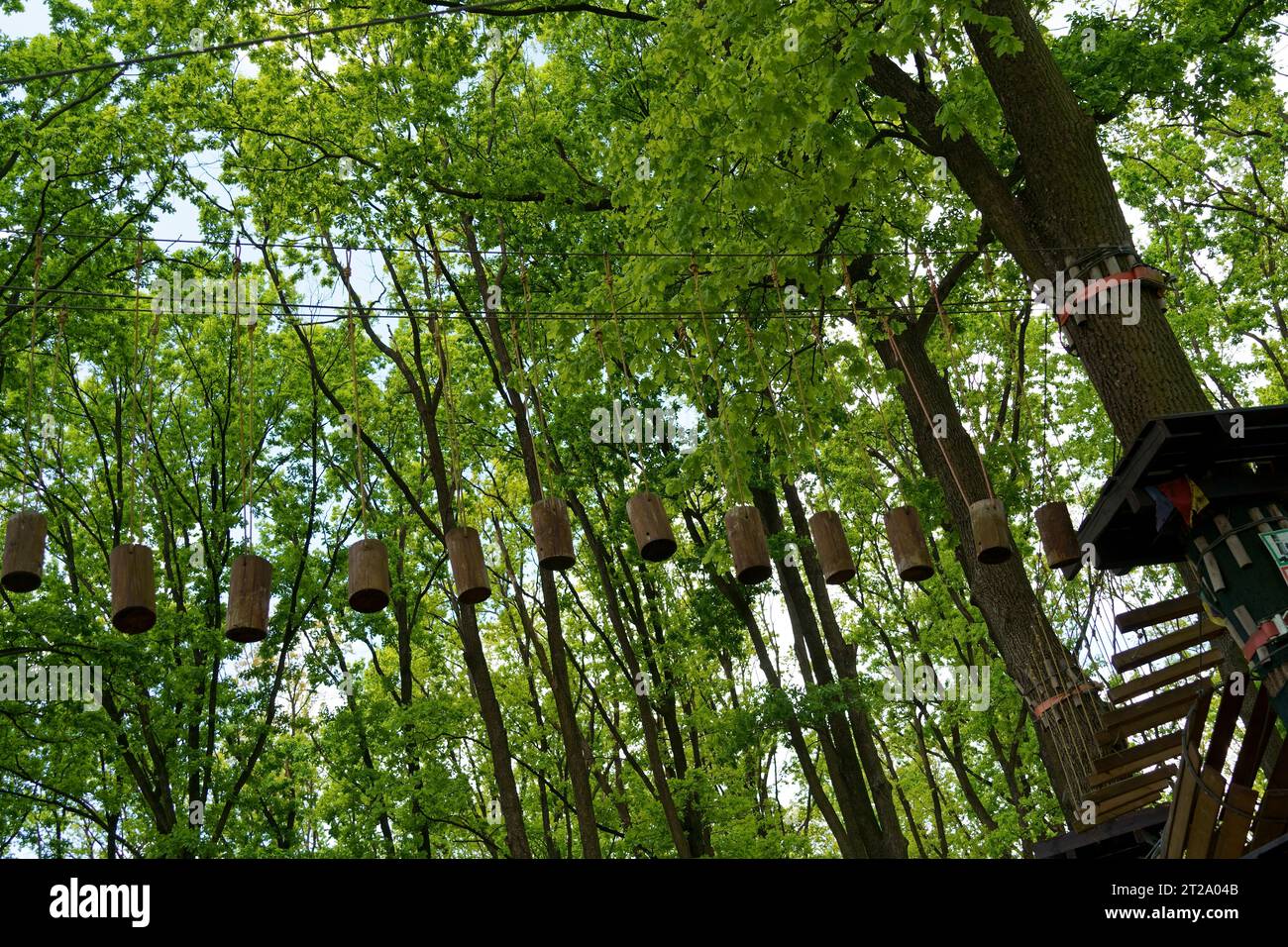 Adventure rock climbing in the park with high wires. High ropes course ...