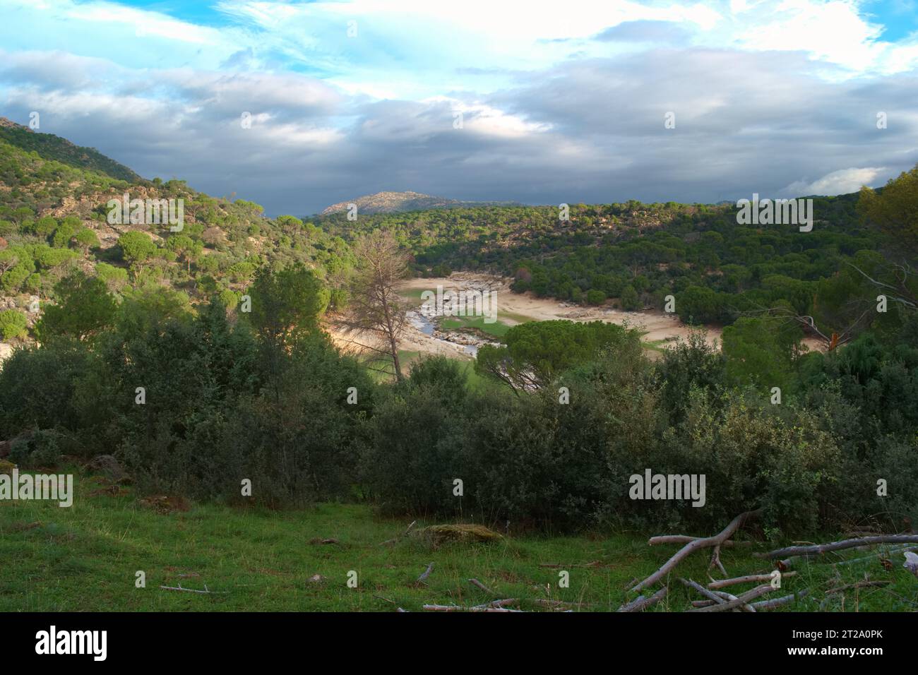 plants, flora, mountains, landscape, view, trees, spain, nature, sky ...