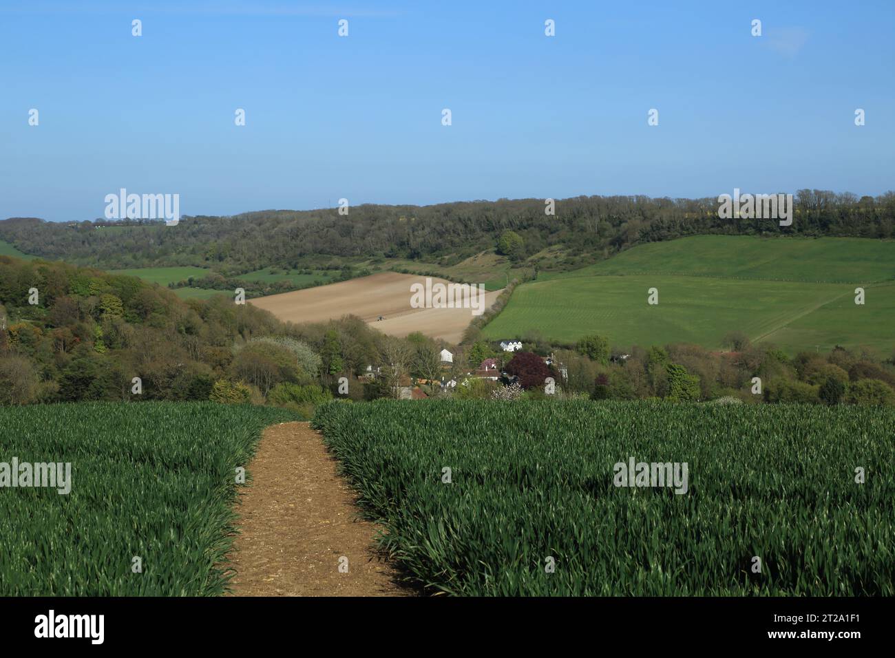 Alkham road hi-res stock photography and images - Alamy