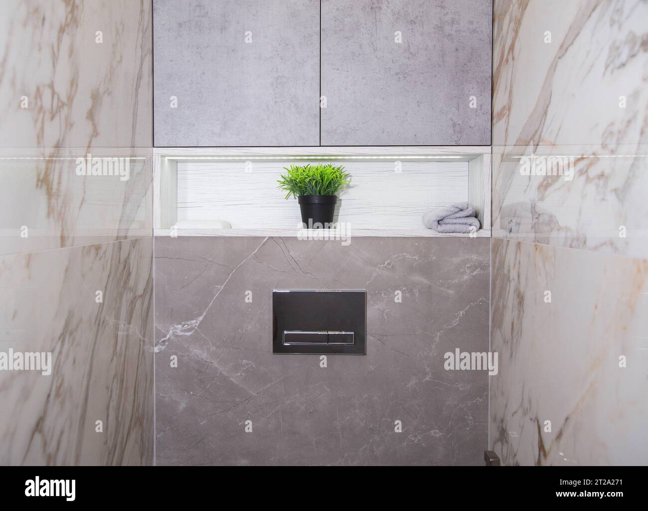 The interior in a modern toilet, a closet and a niche with a shelf and ...