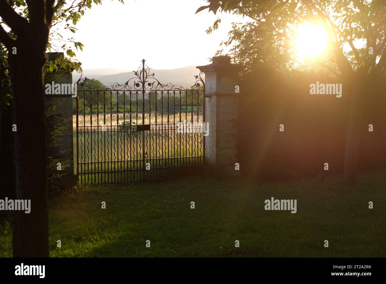 Looking out the wrought iron gates, the late afternoon sun setting ...