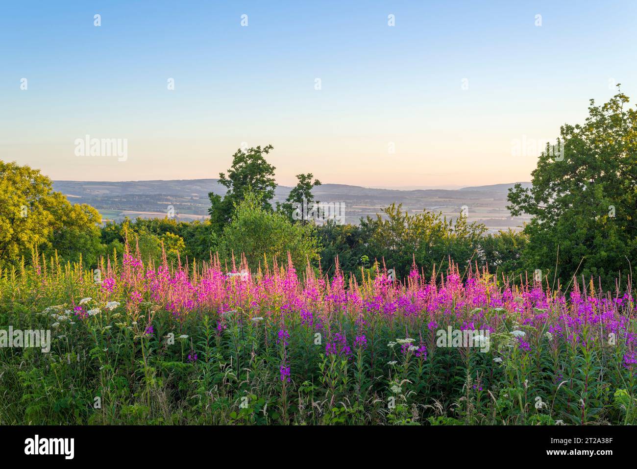 Blackdown hills hi-res stock photography and images - Alamy