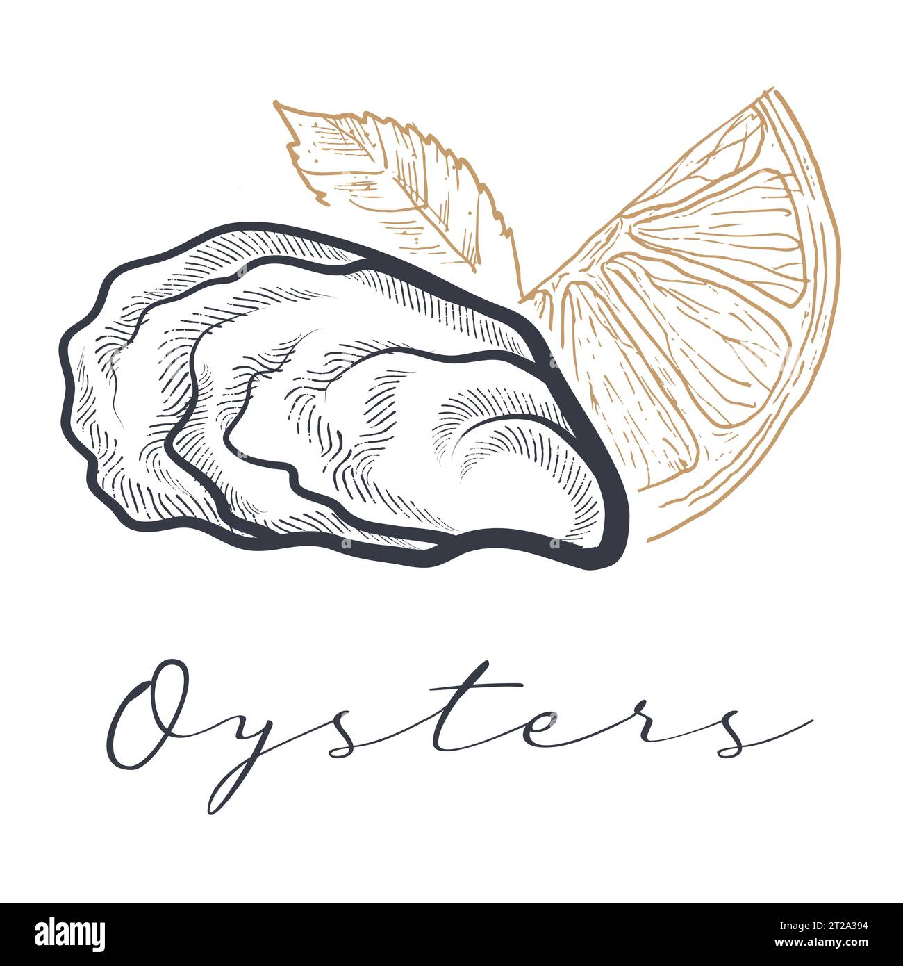 Oyster with lemon hand drawn sketch vector illustration. Closed oyster ...
