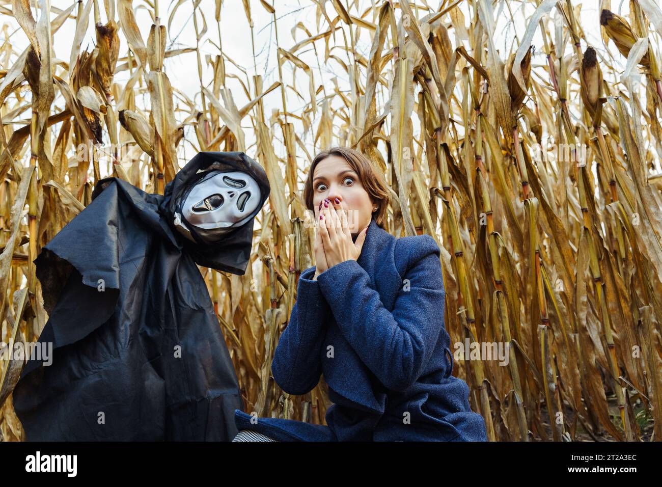 Woman with frightened face near figure with death mask in cornfield on ...