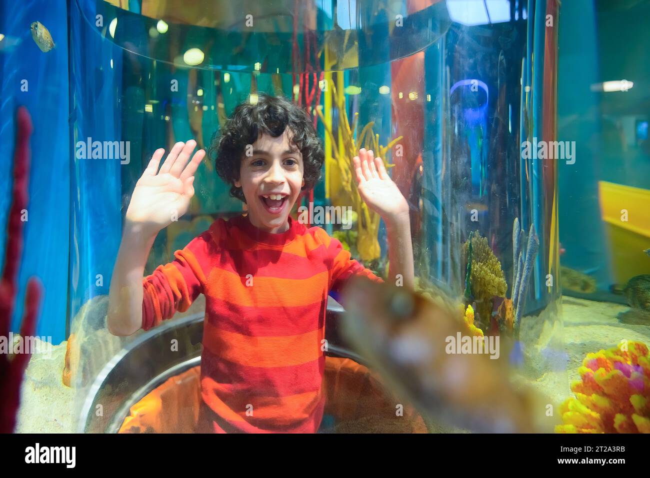A male child enjoying himself in a hollow fish tank. The aquarium ...