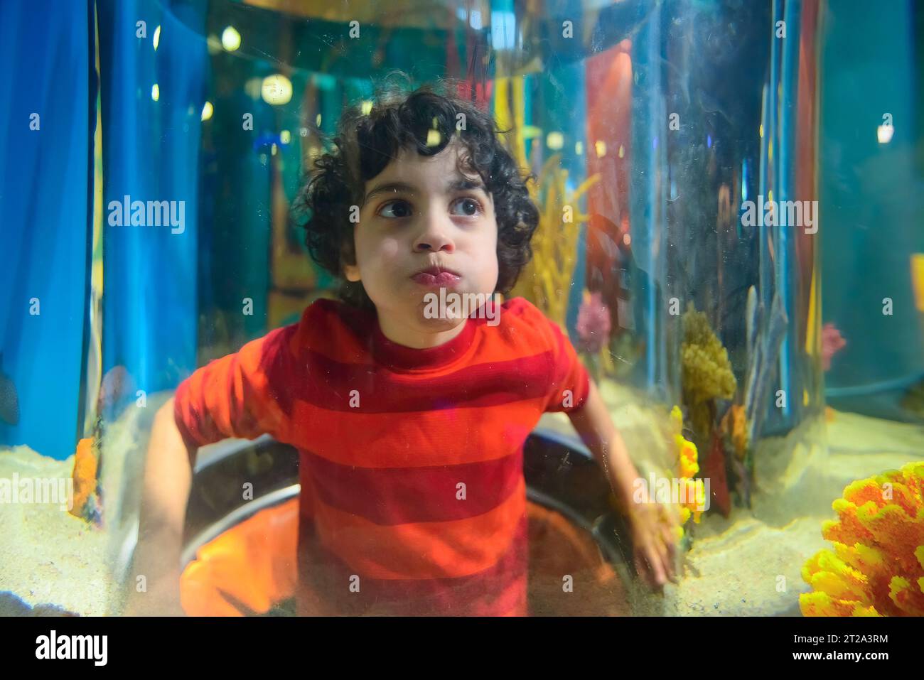 A male child enjoying himself in a hollow fish tank. The aquarium ...