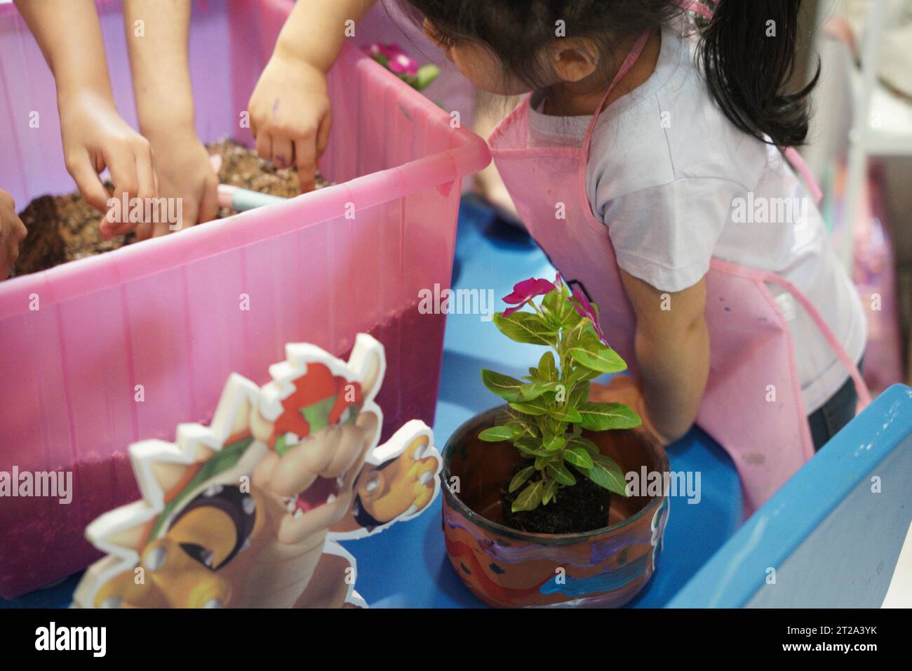 Kids gardening crafts at home. kids gardening a nice flower on a pot ...