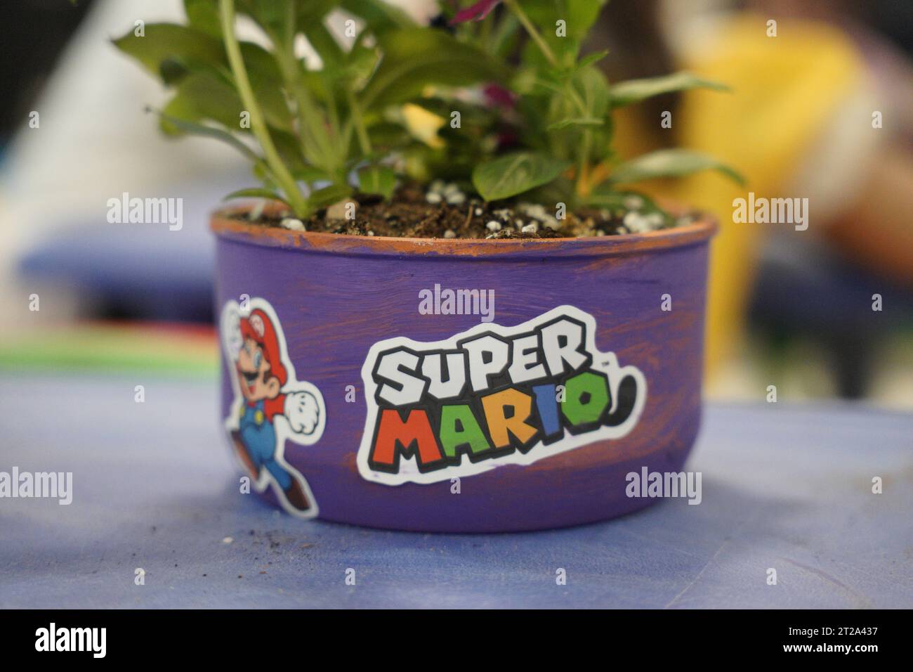Super mario plant crafts, mario kids summer activity gardening pots ...