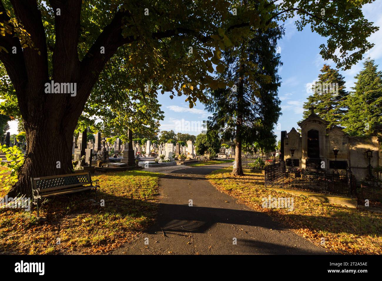 Uj szent mihaly temeto hi-res stock photography and images - Alamy