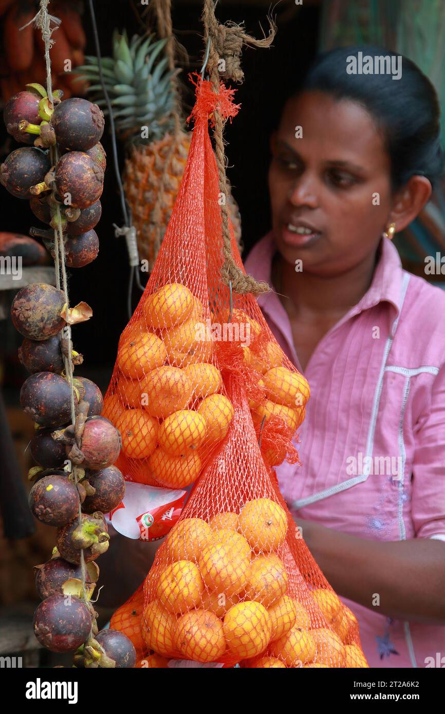 Shop keeper, Sri Lanka Stock Photo - Alamy