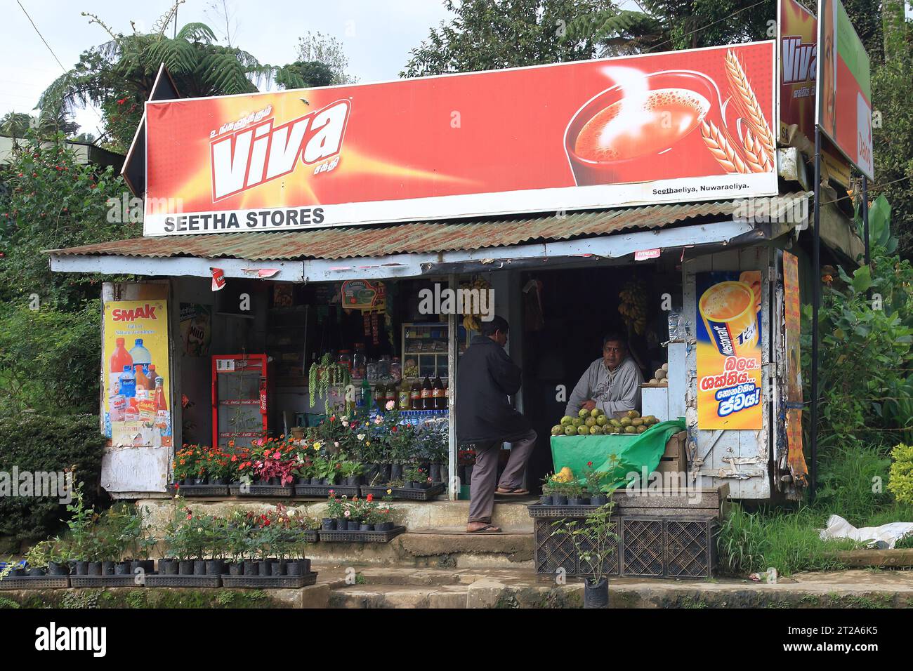 Shop Sri Lanka Stock Photo - Alamy