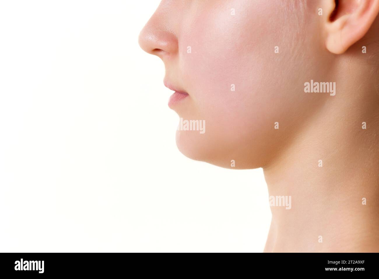 Close-up cropped profile portrait of good-looking woman nose, neck ...
