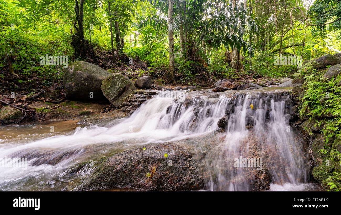 Waterfall in Abundant Clear Stream in the forest Small waterfall river ...