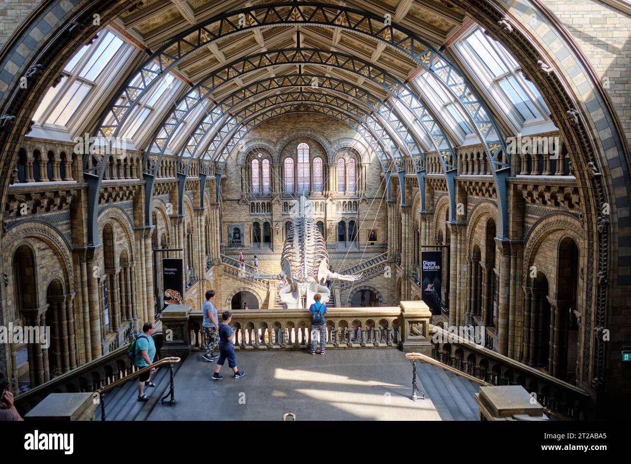 The Natural History Museum houses a vast range of specimens of natural ...