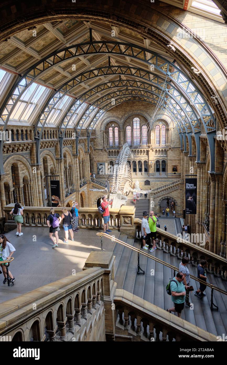 Corridors and staircases of the Natural History Museum in London. 10 ...