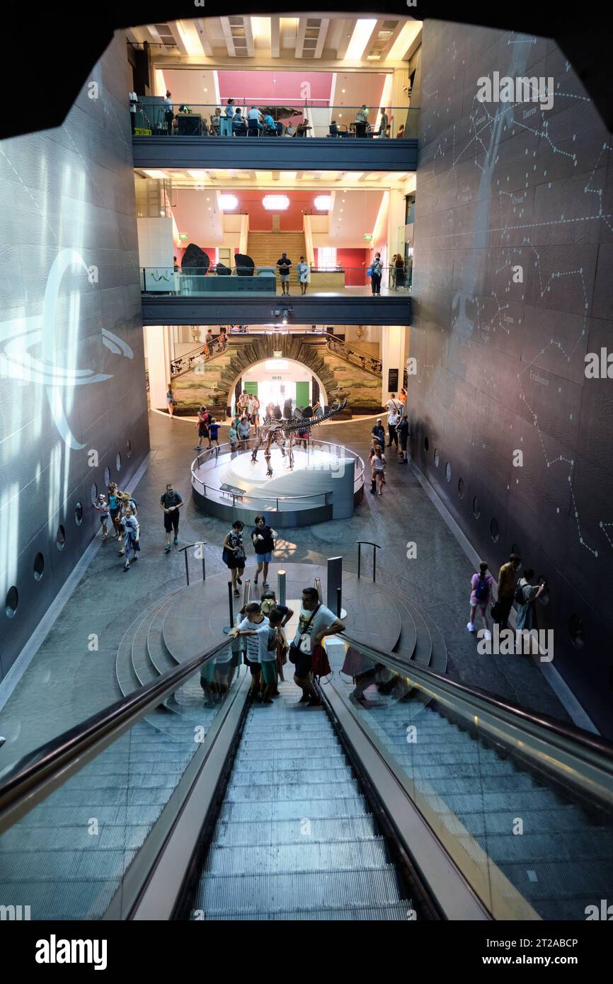 Natural History Museum London Escalator
